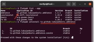 How to Completely Remove Flatpak Apps & Free up Disk Spaces in Linux ...