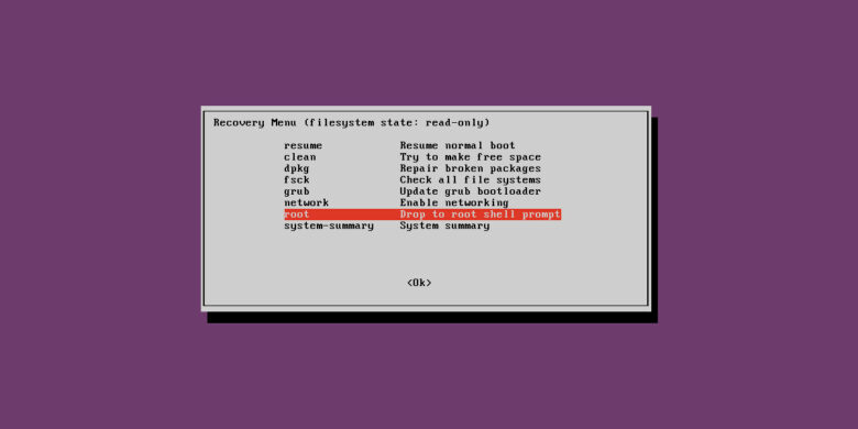 How to Boot into Rescue / Emergency Mode in Debian/Ubuntu & Fedora ...