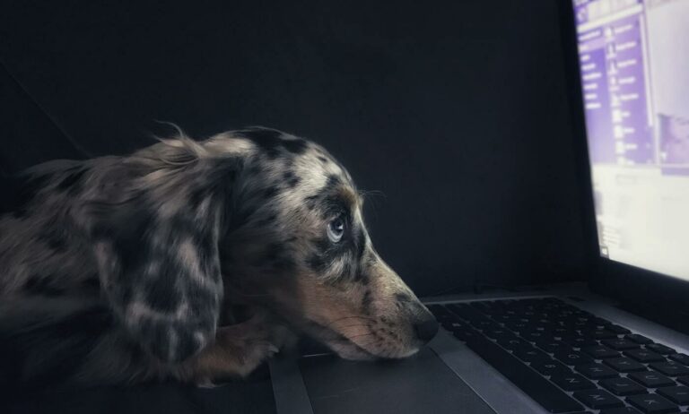 How to Disable (or Slow Down) Blinking Cursor in Ubuntu, Linux Mint, Fedora Linux - FOSTips