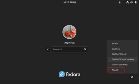 NsCDE - Common Desktop Environment (CDE) Look & Feel Desktop for Linux ...